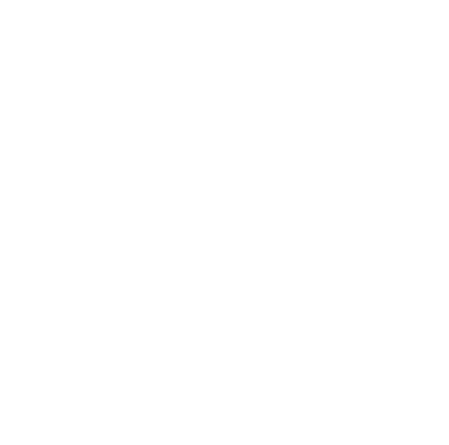 L’équipe – Solent Consulting